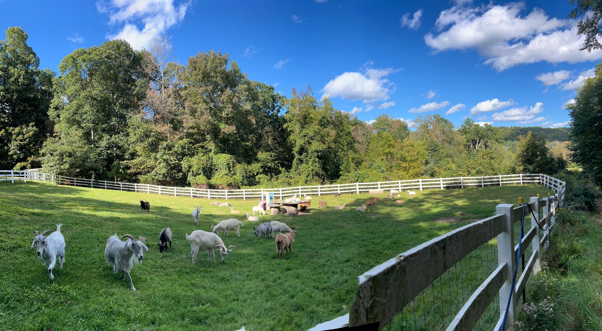 About Our Farm – Hidden Brook Farm